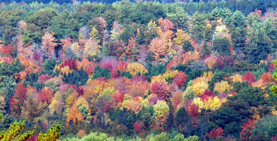 The Fall Equinox Approaches! | Naturalistic Paganism