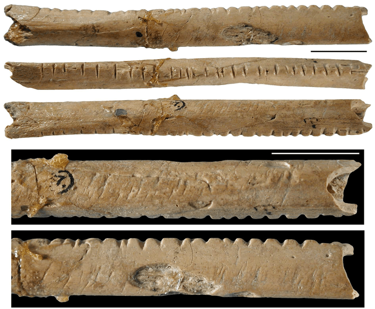 A Few Glimpses of the Real Lives of our Ancestors, by Starstuff ...