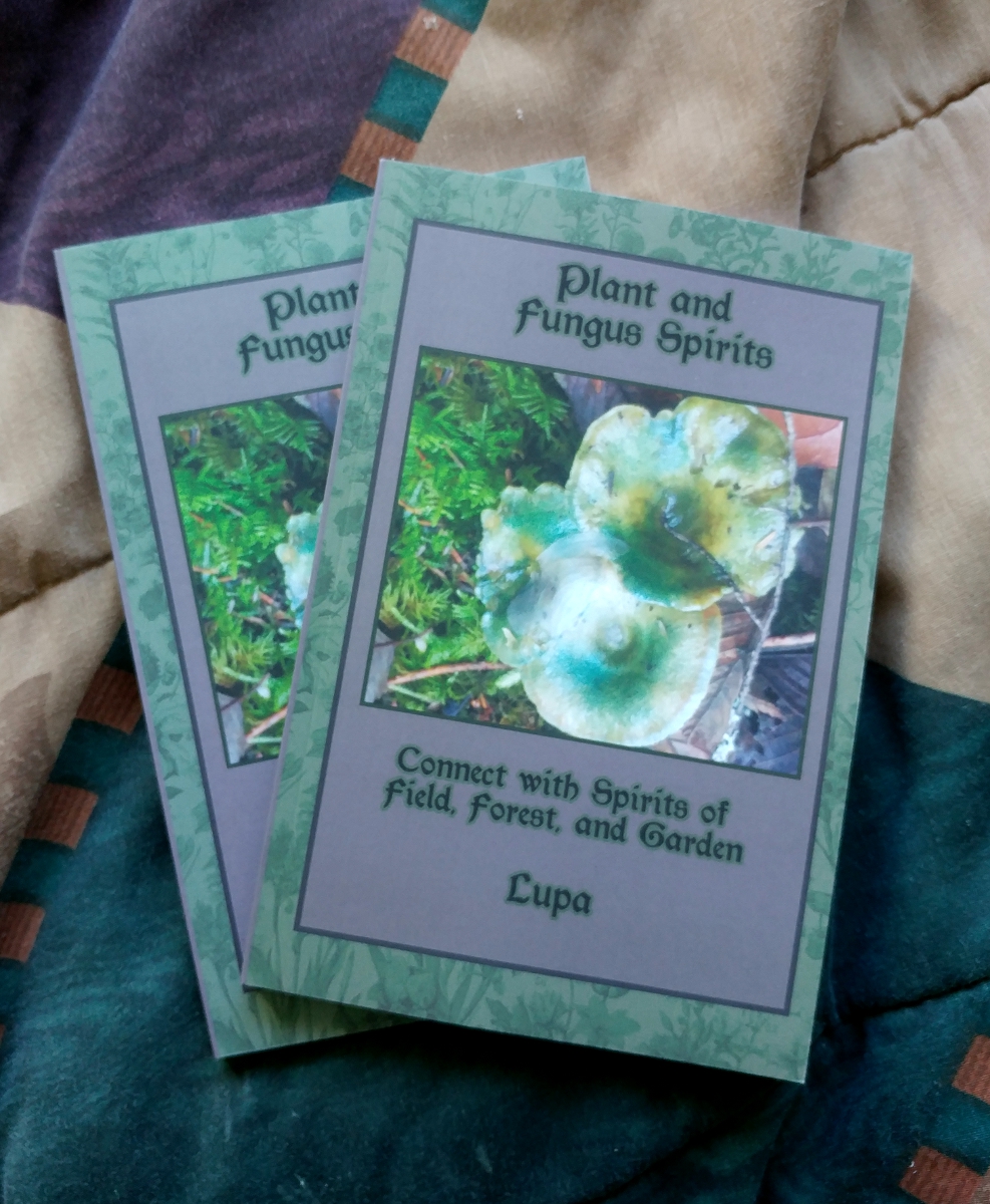 Plant and Fungus Spirits Updated and Annotated Edition Available Now ...