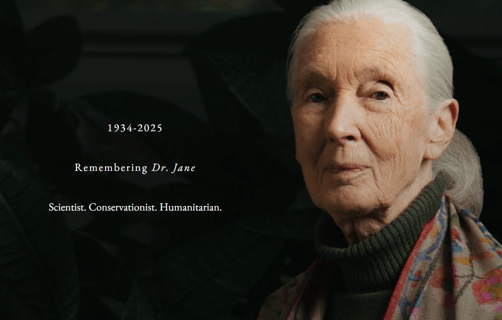 Dr. Jane Goodall, Heroine of our time has died [Starstuff ...